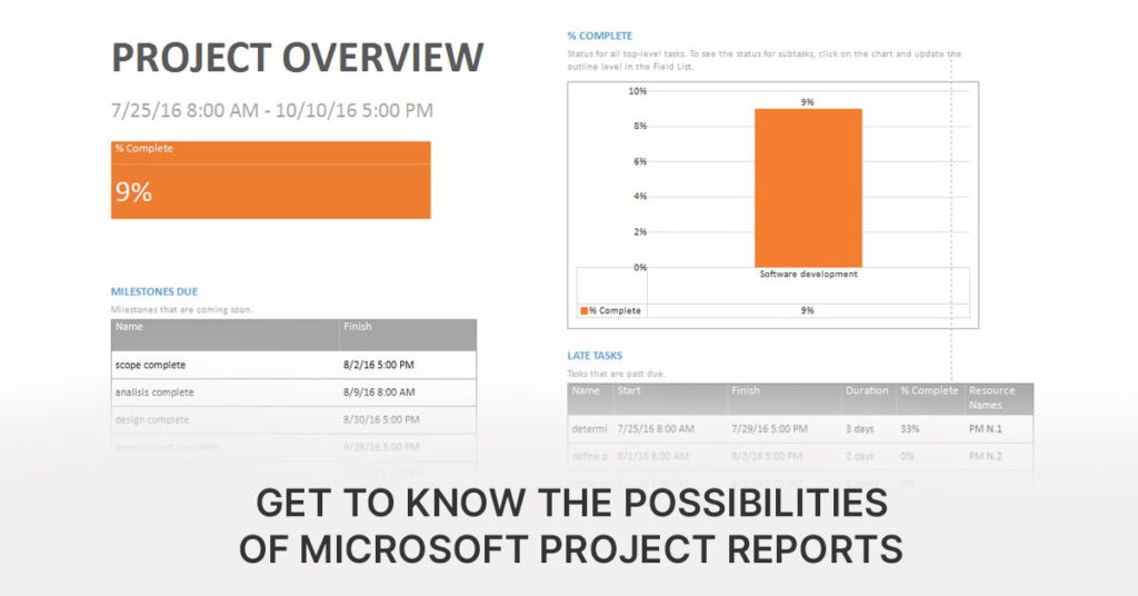 Microsoft Project Archives - Seavus Project Viewer