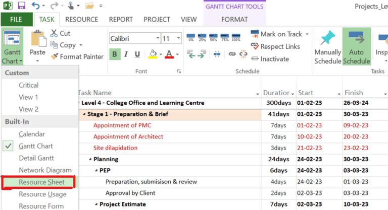 Resource Management in Microsoft Project: Techniques and Strategies ...