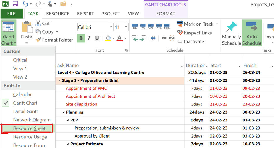 Resource Management in Microsoft Project: Techniques and Strategies - Seavus Project Viewer