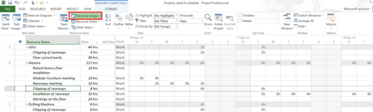 Resource Management in Microsoft Project: Techniques and Strategies ...