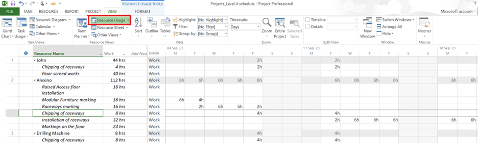 Resource Management in Microsoft Project: Techniques and Strategies ...