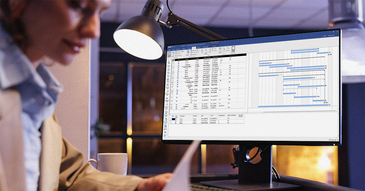 MS Project Views Every Team Member Should Know - Seavus Project Viewer